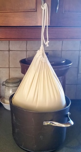 Savory, sweet, or on its own, Lactic Cheese belongs in your kitchen ...