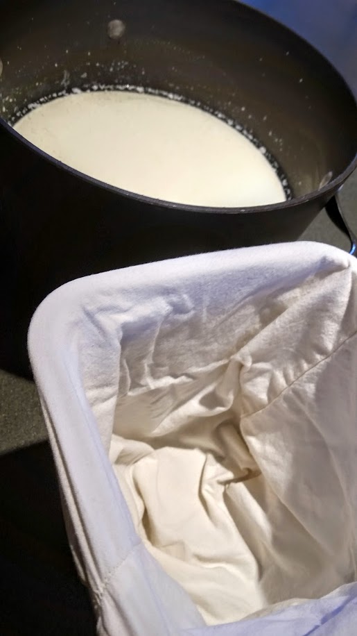 Savory, sweet, or on its own, Lactic Cheese belongs in your kitchen ...