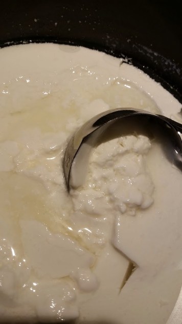 Savory, sweet, or on its own, Lactic Cheese belongs in your kitchen ...