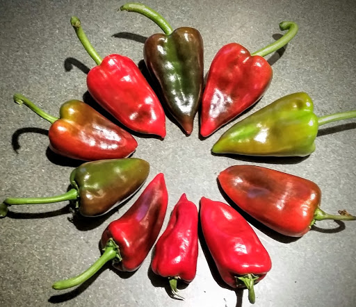 My Red Hot Chile Pepper Addiction – Tim's Food Obsession