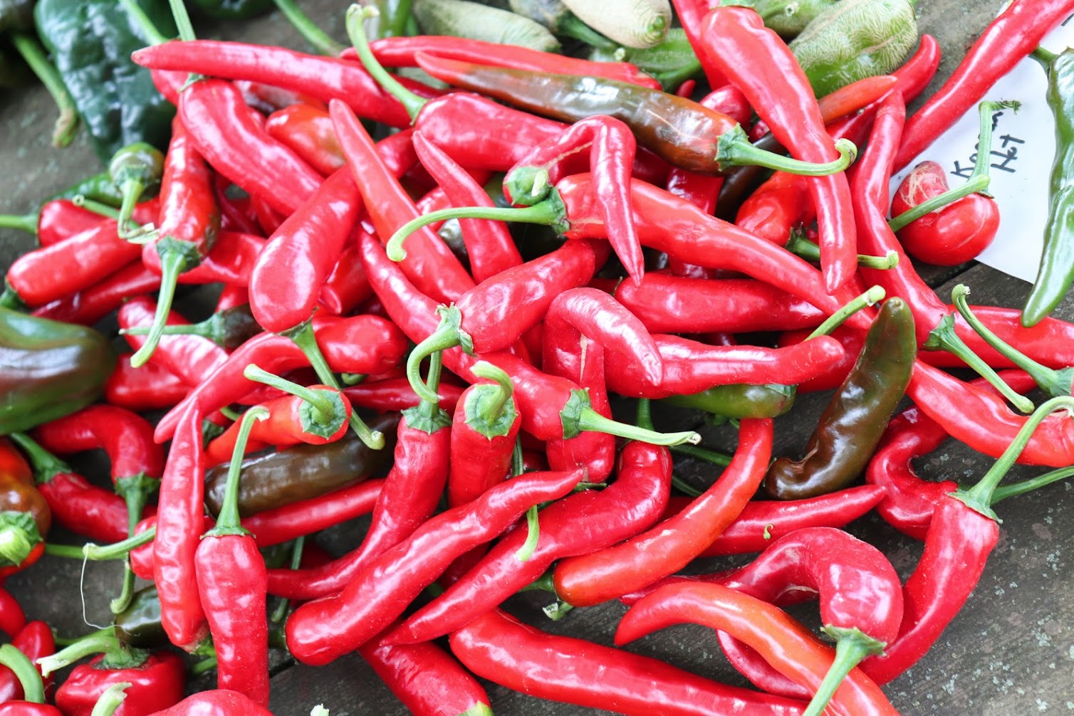 Homemade Gochujang – Tim's Food Obsession