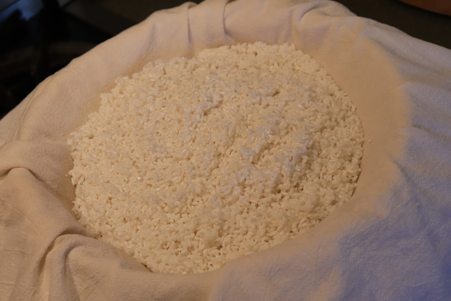 Simple instructions to produce koji at home – Tim's Food Obsession