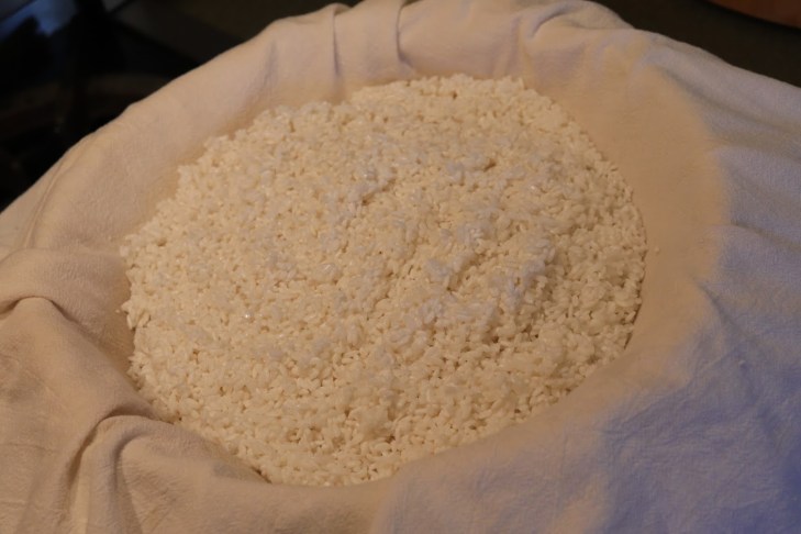Simple instructions to produce koji at home – Tim's Food Obsession